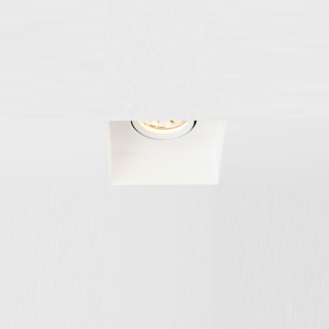 Indox 1X50 fix ip54 - Ceiling - Brick in the Wall